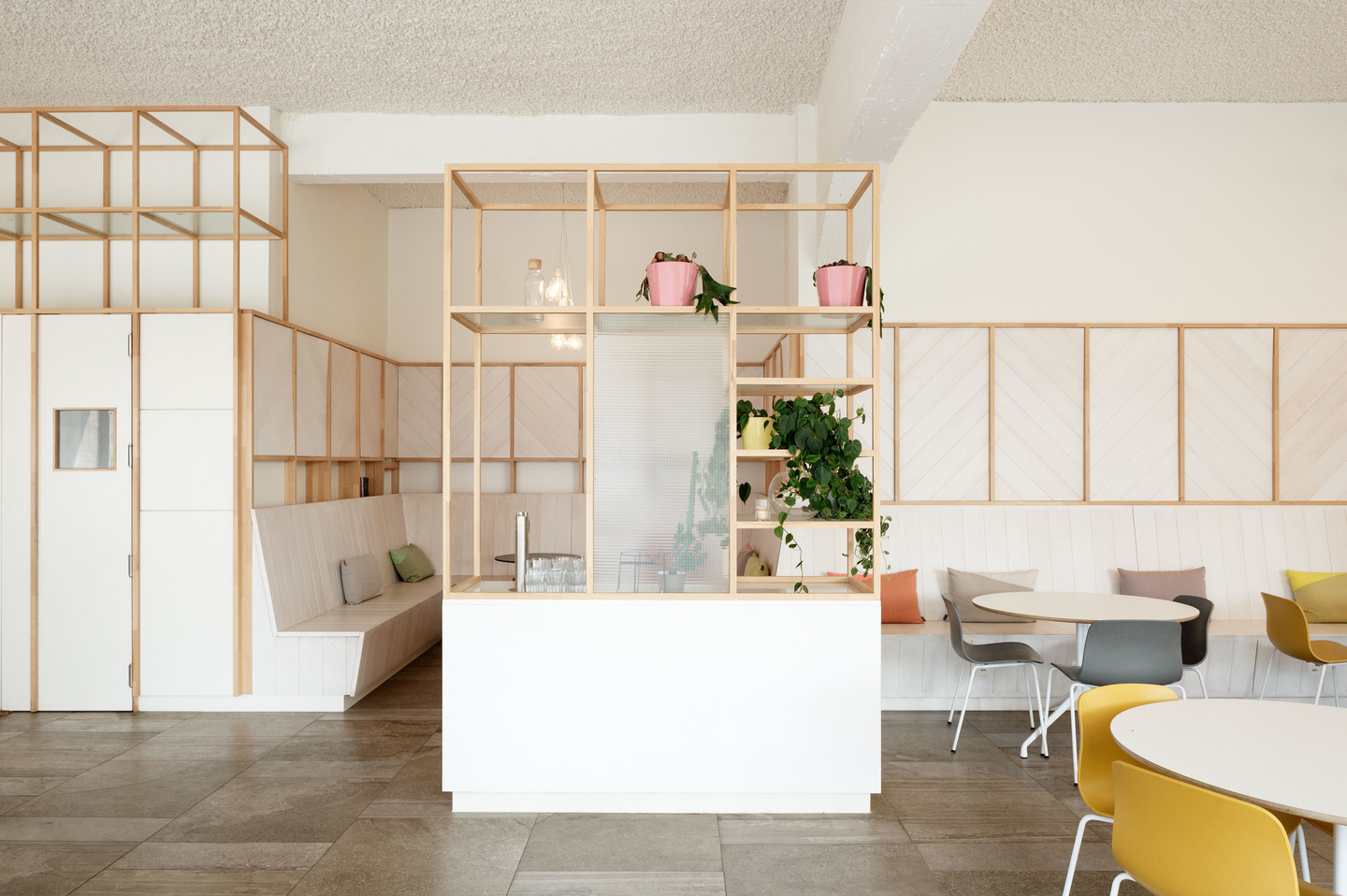 MikeViktorViktor | Woestijnvis